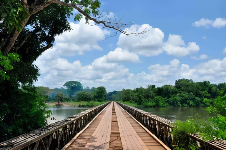 Suriname: Um Tesouro Natural da América do Sul – viajardiaenoite.com.br